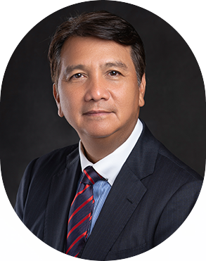 Partners - Britanico Sarmiento & Ringler Law Offices